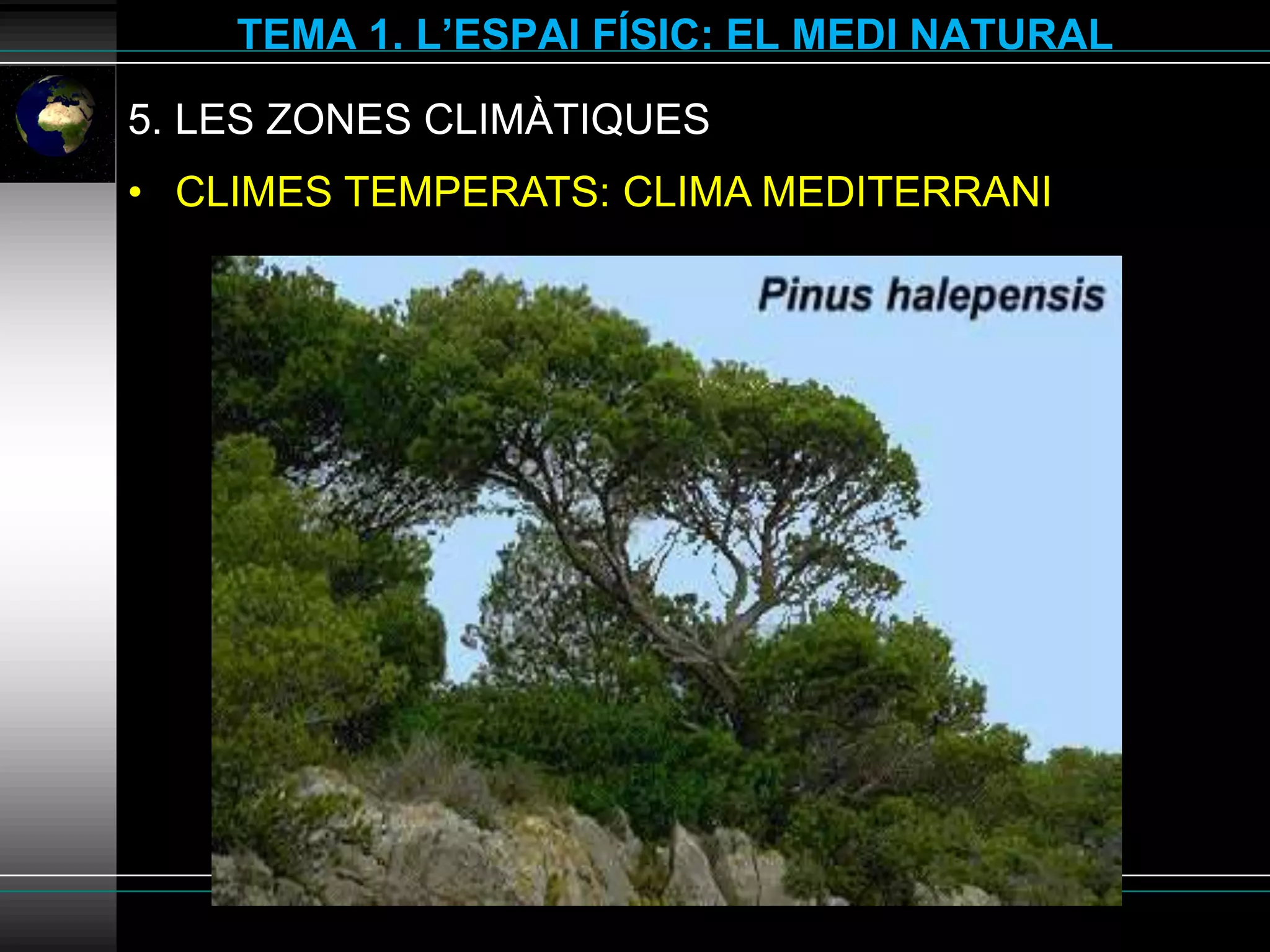 Tema 6 Climes de la Terra | PPT