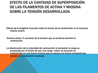 Tema 6 contracción del musculo esqueletico | PPTX