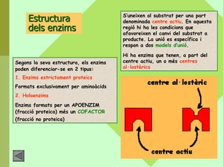 Tema 6 Enzims | PPT