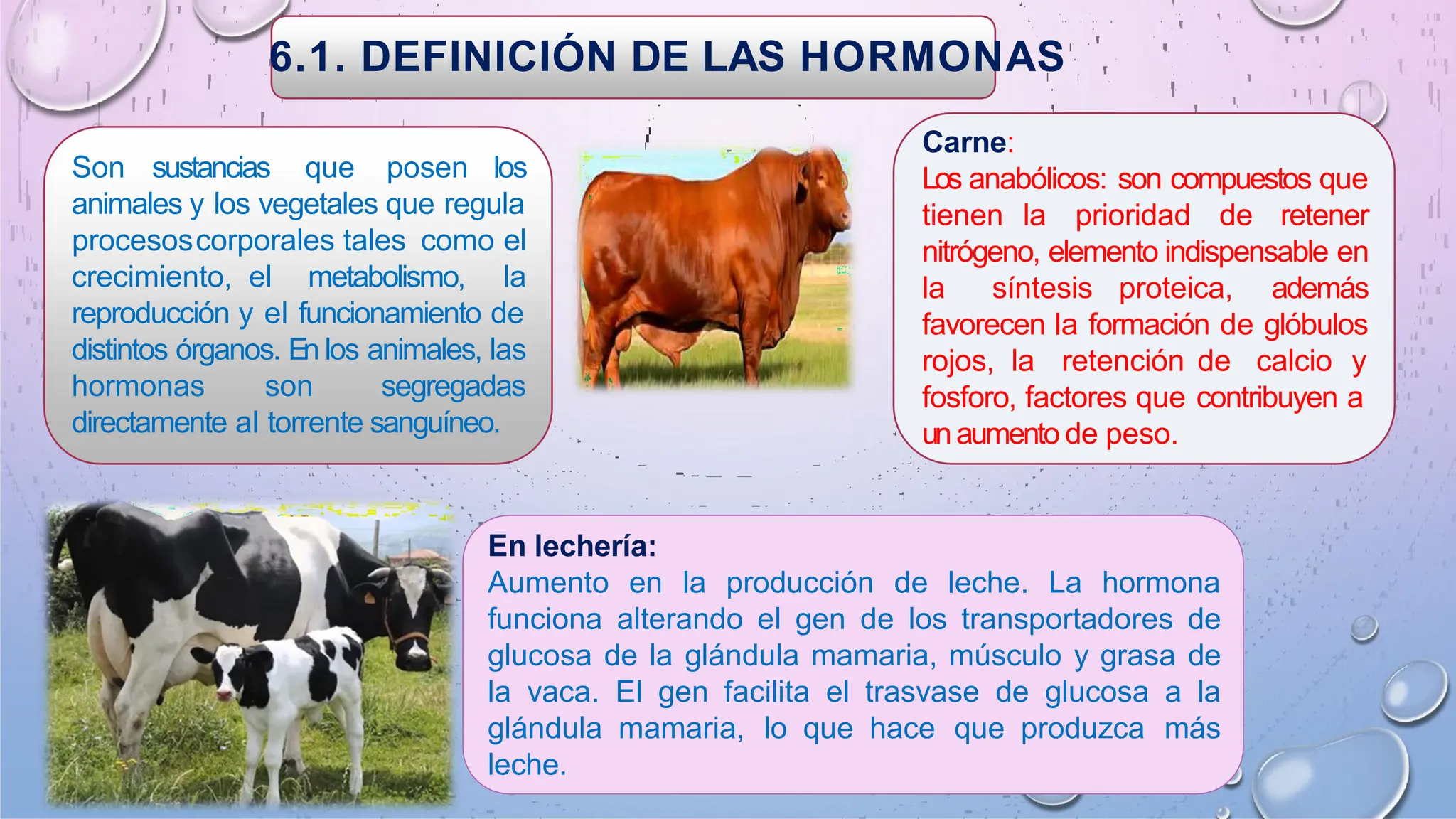 Diversidad de las Hormonas en animales mas sus definición y categoría | PPT