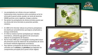 tema 6 INCLUSIONES SOLIDAS DEL protoplasto.pdf