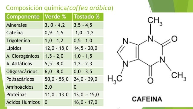 slideshare presentacion del cafe