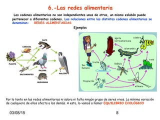 TEMA 6 LOS ECOSISTEMAS | PPT