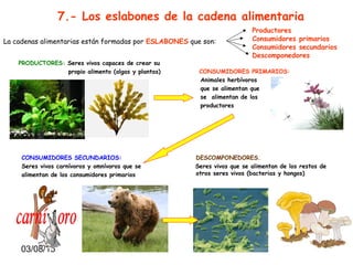TEMA 6 LOS ECOSISTEMAS | PPT