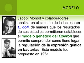 Tema 6 operon lac | PPTX