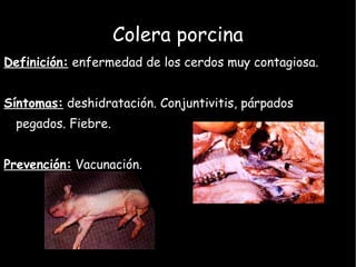 Tema6 sabadini | PPT