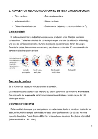 Tema+7. +sistema cardiovascular | PDF
