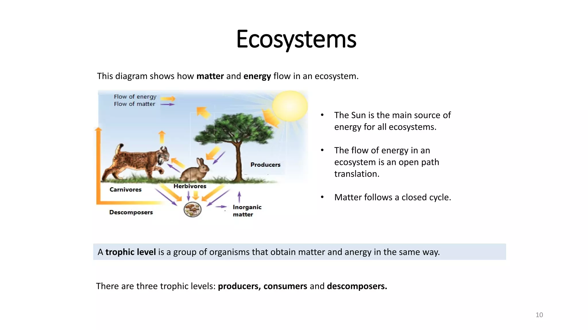 Tema 7. The ecosystems.pdf