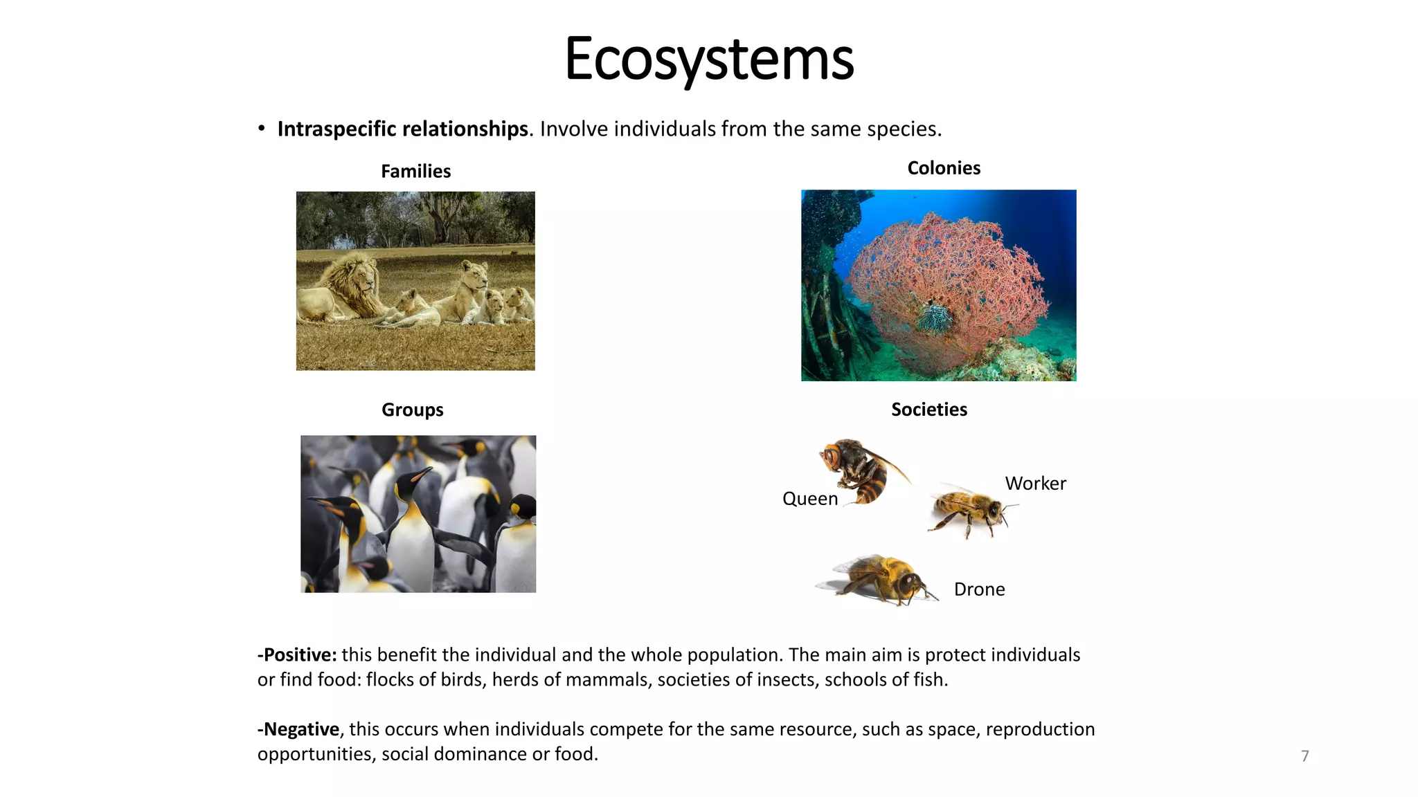 Tema 7. The ecosystems.pdf
