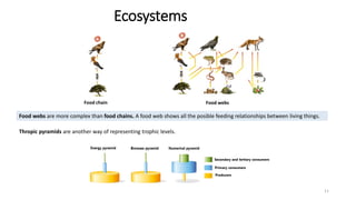 Tema 7. The ecosystems.pdf