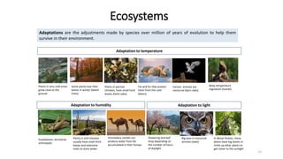 Tema 7. The ecosystems.pdf