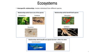 Tema 7. The ecosystems.pdf