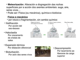 Tema 7. as transformacións nos ecosistemas | PPT