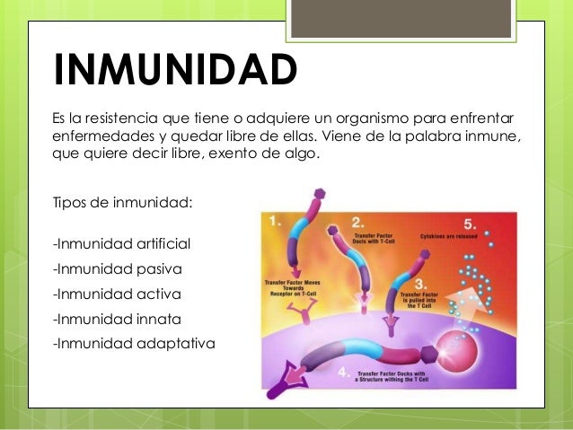 Despojar de su inmunidad significado
