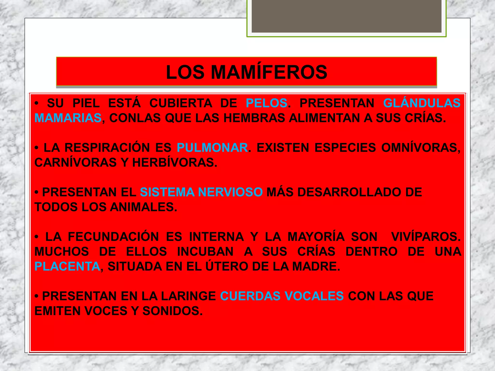 Tema 7 animales vertebrados | PPT