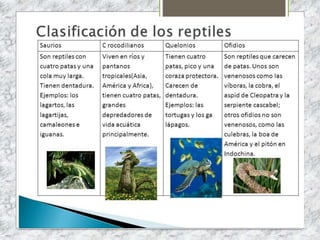 Tema 7 animales vertebrados | PPTX