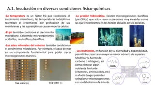 Tema 7 (Bioprospección de microorganismos).pdf