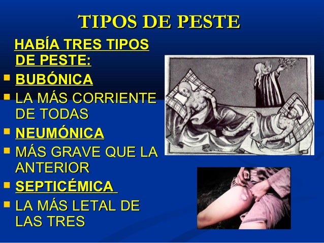 Tema 7 II PARTE LA PESTE