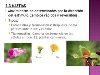 Tema 7. Las plantas | PPT