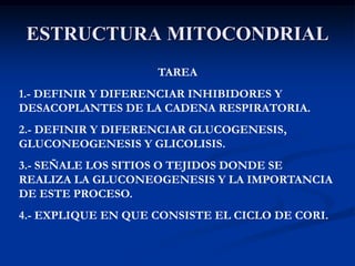 Tema N°9. Estructura Mitocondrial | PDF