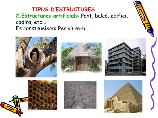 Tema 7 estructures | PPT
