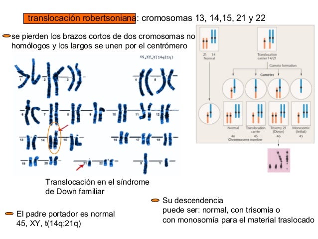 Tema7 gm 10.web