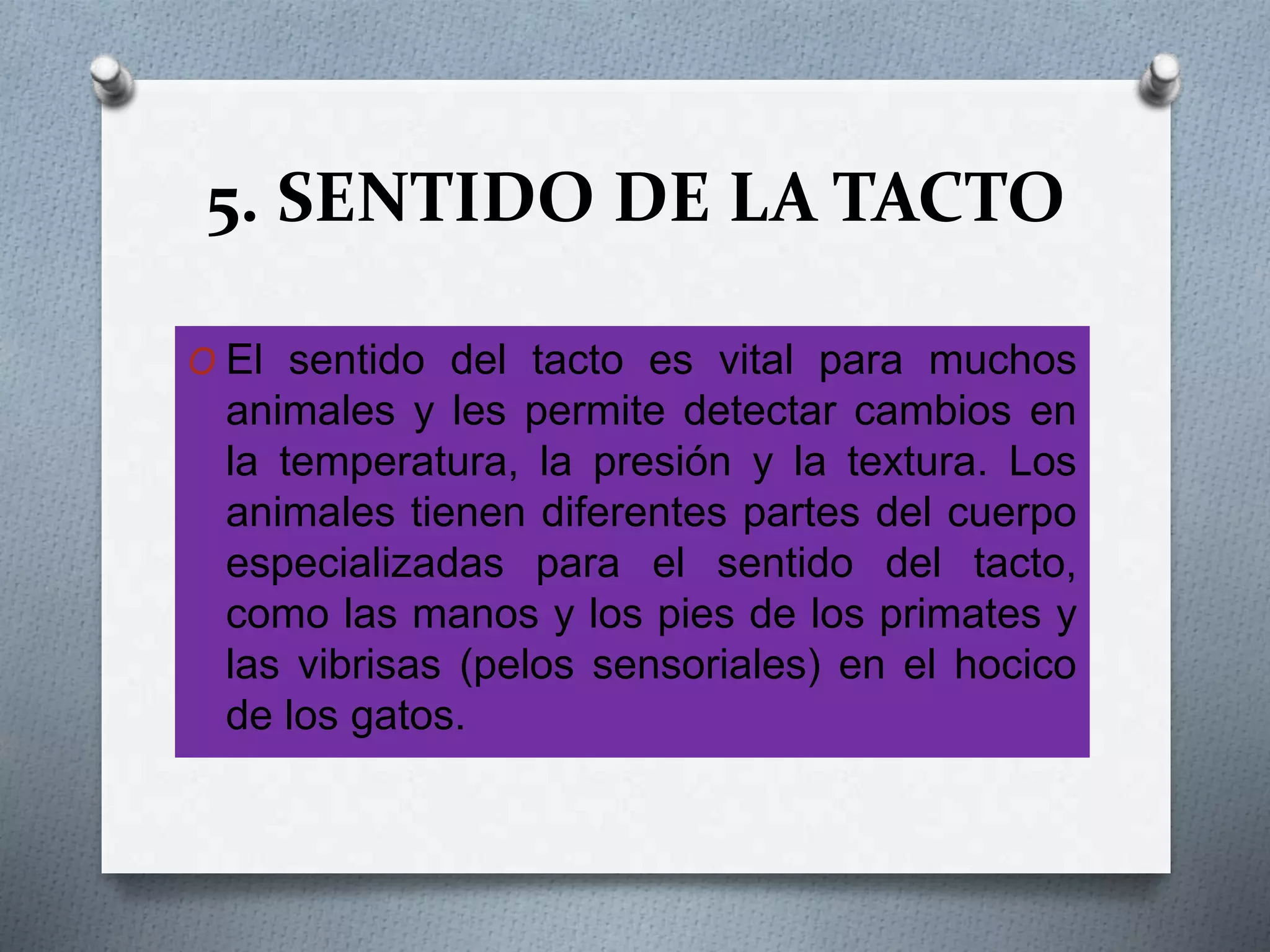 TEMA 7 LOS CINCO SENTIDOS DE LOS ANIMALES.pptx