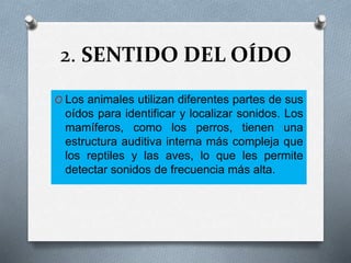 TEMA 7 LOS CINCO SENTIDOS DE LOS ANIMALES.pptx