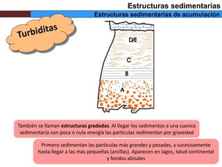 Tema 7 sedimentación y rocas sedimentarias | PPTX