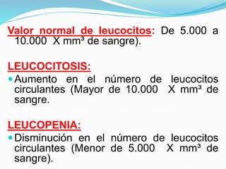 Tema 7 Tejido Sanguíneo | PPT