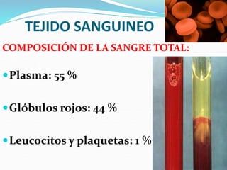 Tema 7 Tejido Sanguíneo | PPT