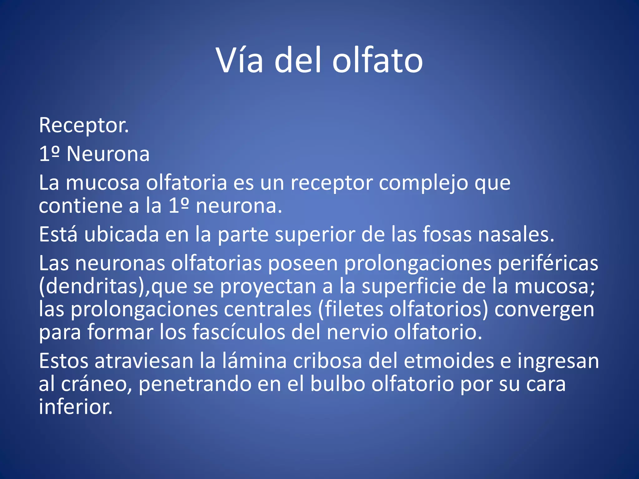 TEMA 7 VIAS DE CONDUCCION.pptx