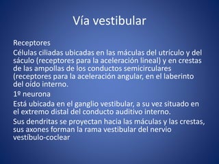 TEMA 7 VIAS DE CONDUCCION.pptx
