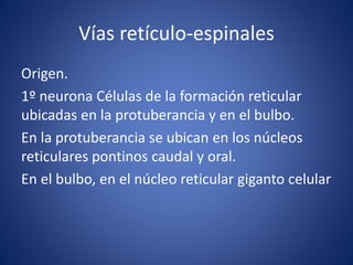 TEMA 7 VIAS DE CONDUCCION.pptx