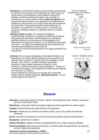Tema8-Citoplasma- Hipertextos de Botánica Morfológica www.biologia.edu.ar