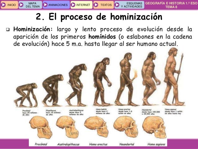 Tema 8 - La Prehistoria