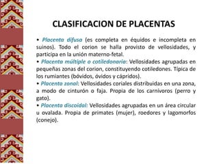 tema 8.pptx embriología animal veterinaria | PPTX