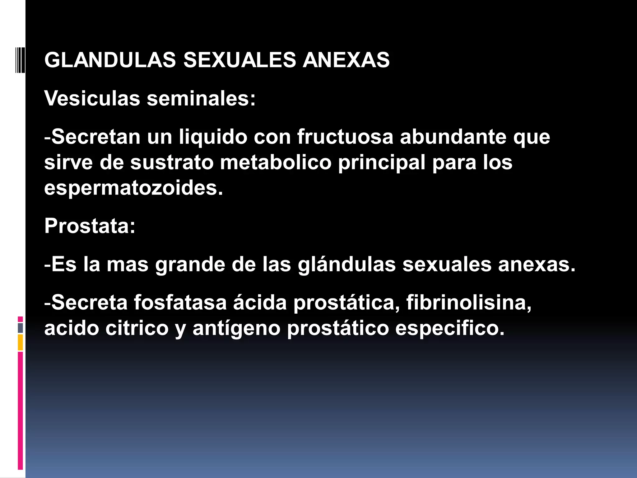 Tema 8-APARATO REPRODUCTOR MASCULINO.pdf