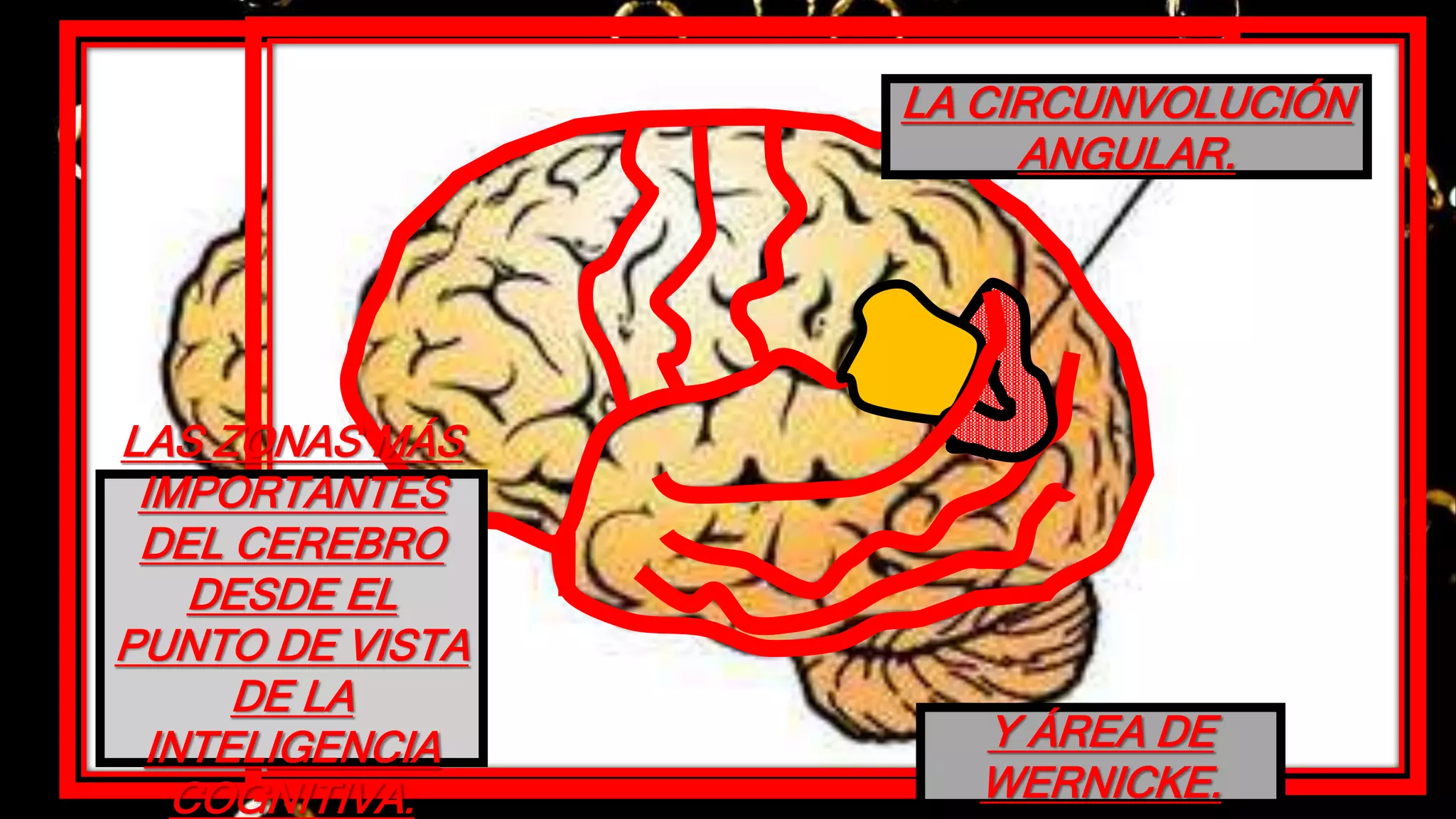 TEMA 820,2. GIRO O CIRCUNVOLUCIÓN ANGULAR. 2 DE LAS ÁREASS MÁS ...