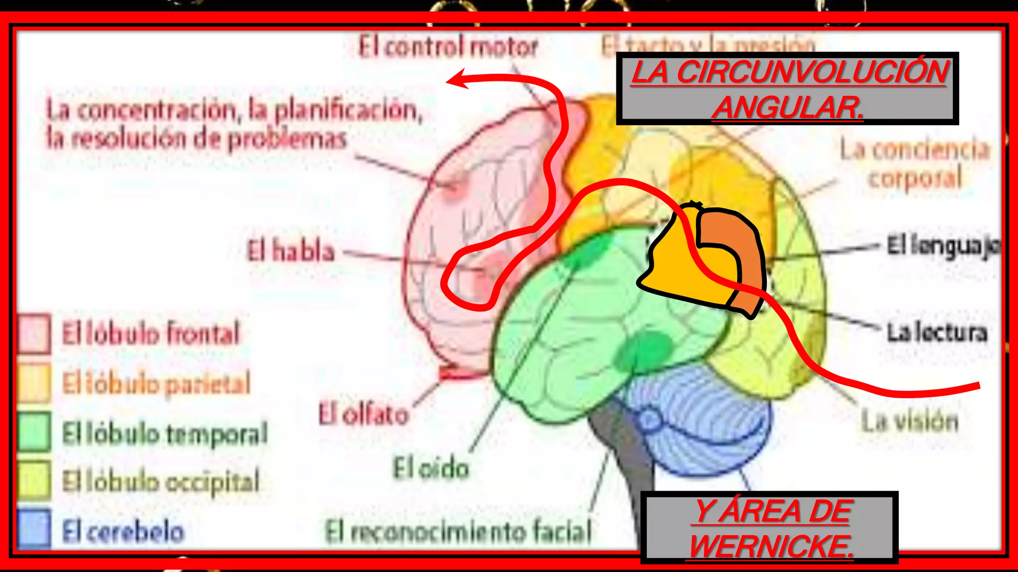 TEMA 820,2. GIRO O CIRCUNVOLUCIÓN ANGULAR. 2 DE LAS ÁREASS MÁS ...