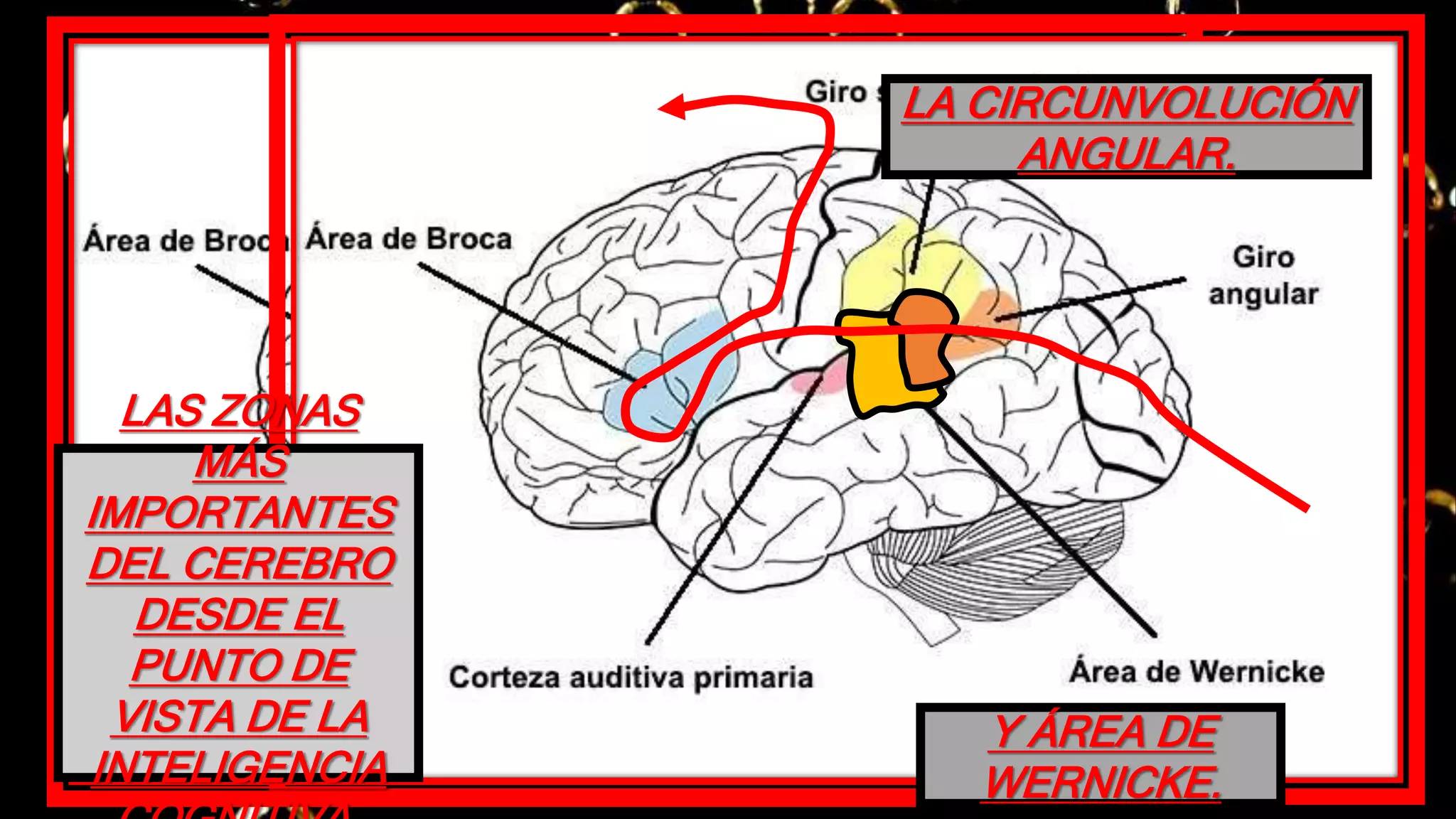 TEMA 820,2. GIRO O CIRCUNVOLUCIÓN ANGULAR. 2 DE LAS ÁREASS MÁS ...