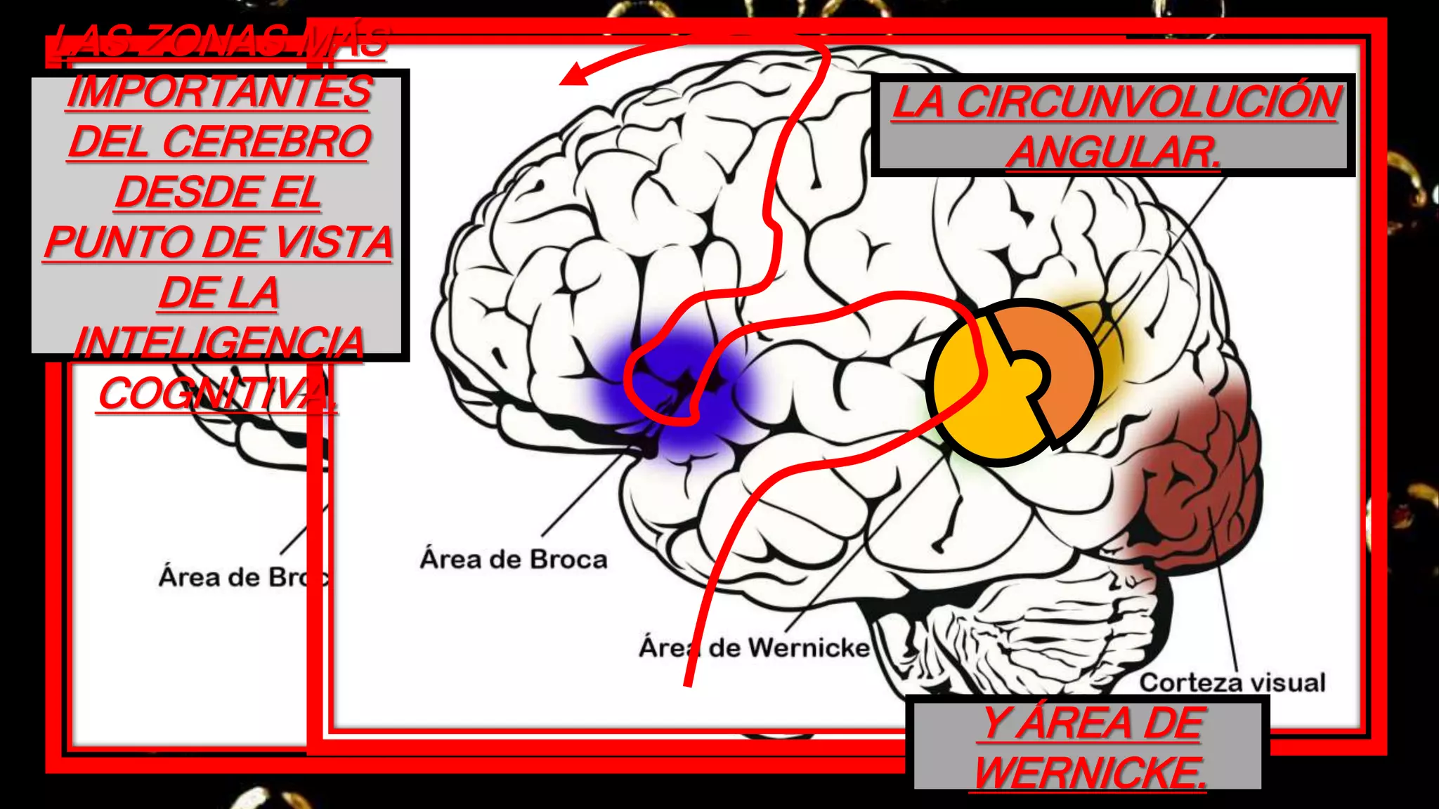 TEMA 820,2. GIRO O CIRCUNVOLUCIÓN ANGULAR. 2 DE LAS ÁREASS MÁS ...