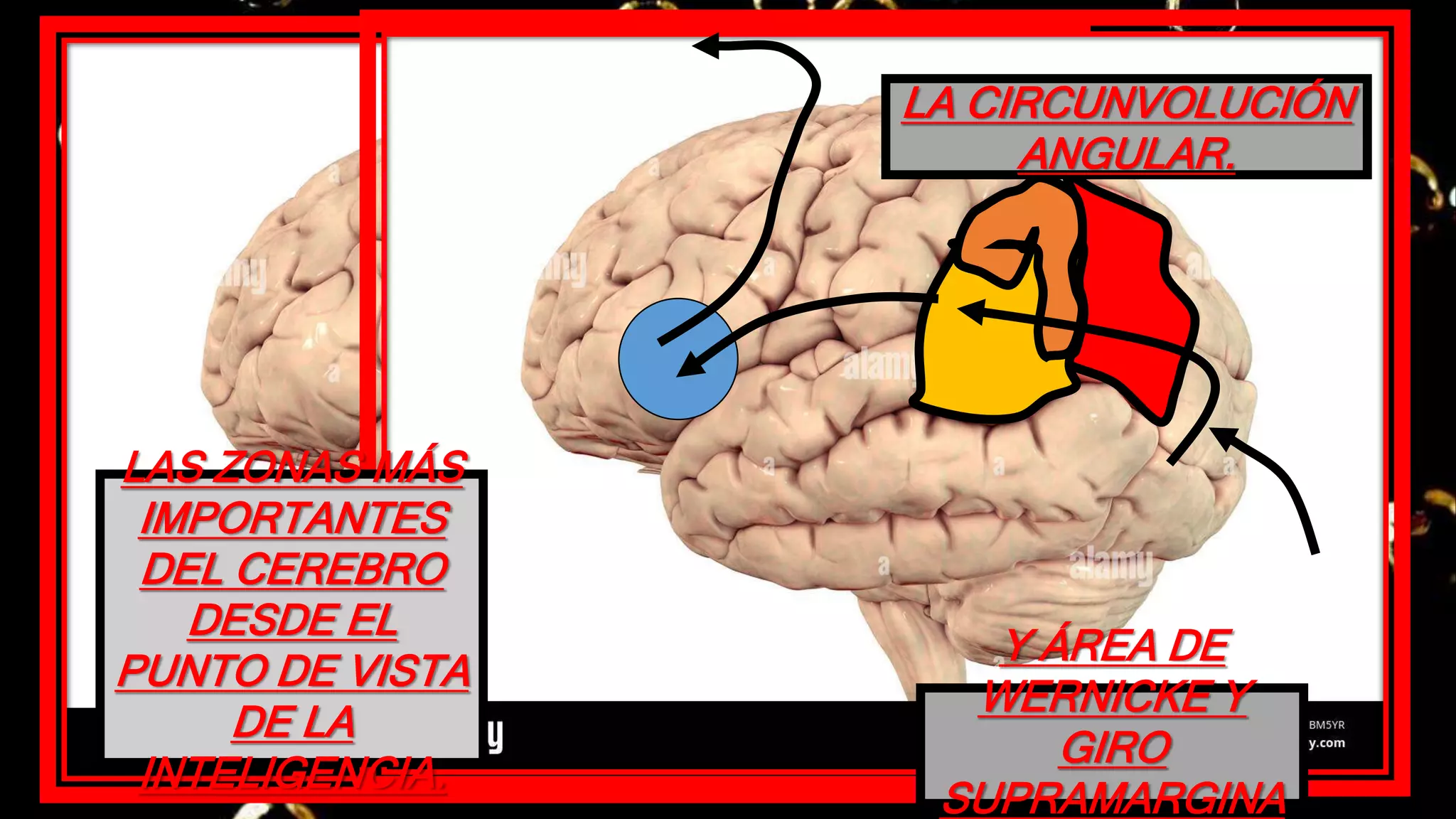 TEMA 820,2. GIRO O CIRCUNVOLUCIÓN ANGULAR. 2 DE LAS ÁREASS MÁS ...