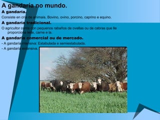 Tema 8 de geografia | PPT