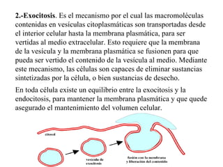 Tema 8 membrana | PPT
