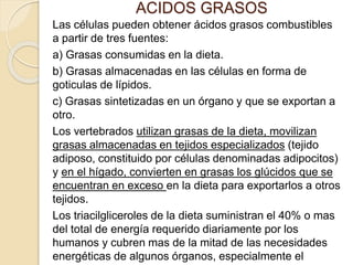 TEMA 8 Oxidacion de acido base joel medicade acidos grasos.pptx
