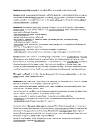 Anatomie Topografică: Regiunea capului | DOCX