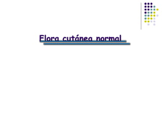 Tema 9. infecciones de piel y tejidos blandos | PDF