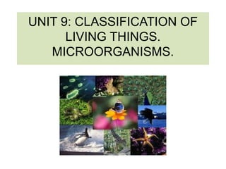 UNIT 9 CLASSIFICATION OF LIVING THINGS 1 ESO | PPT