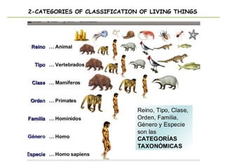 Introduction To Taxonomy – Easy Peasy All-in-One High, 43% OFF